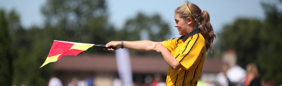 Home [www.hartfordsideliners.org]